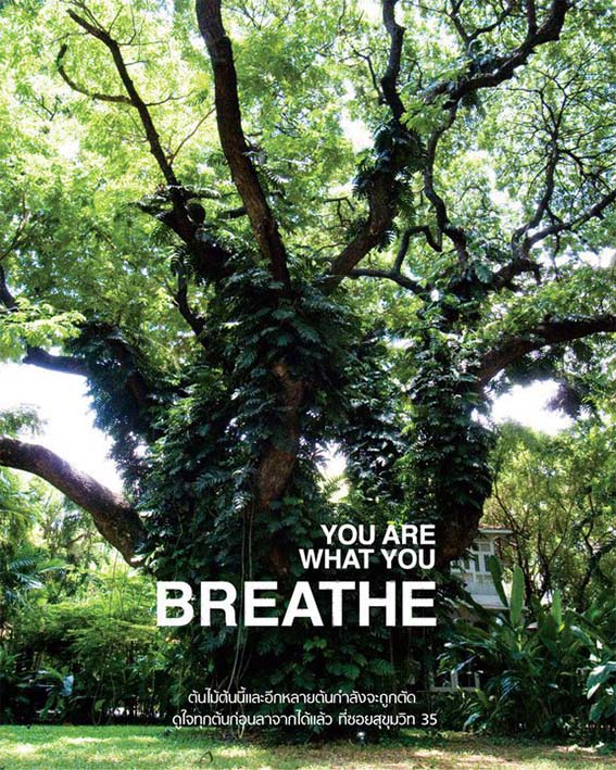 สันติ โอภาสปกรณ์กิจ & อรยา สูตะบุตร : BIG Trees Project รวมพลคนตัวเล็ก ...